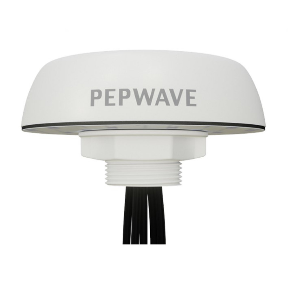 Peplink ANT-MB-22G Antenna | Westward Sales