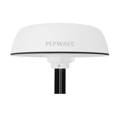 Peplink ANT-MB-42G Antenna | Westward Sales